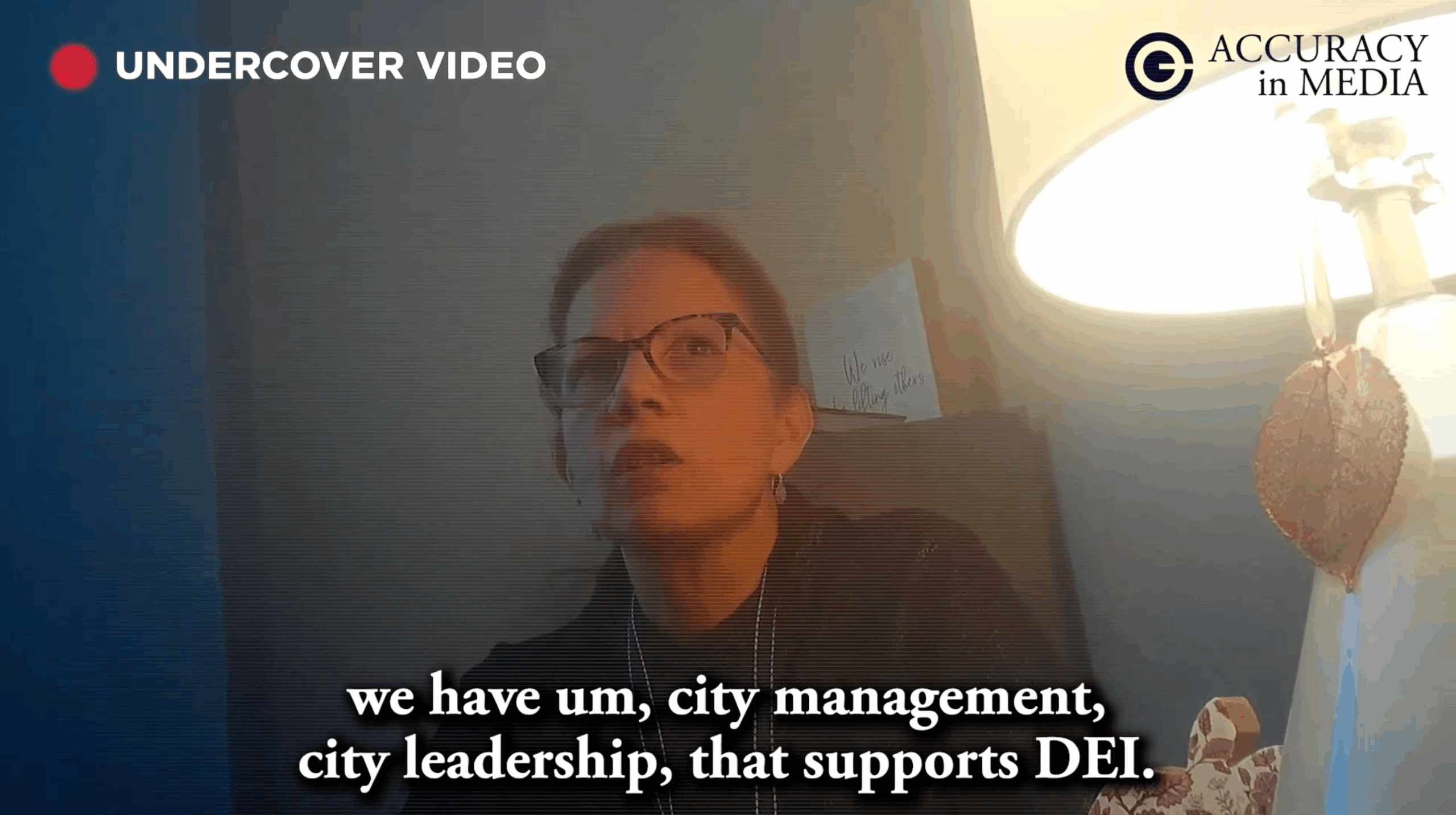 Winston-Salem government officials admit to pushing DEI initiatives ...