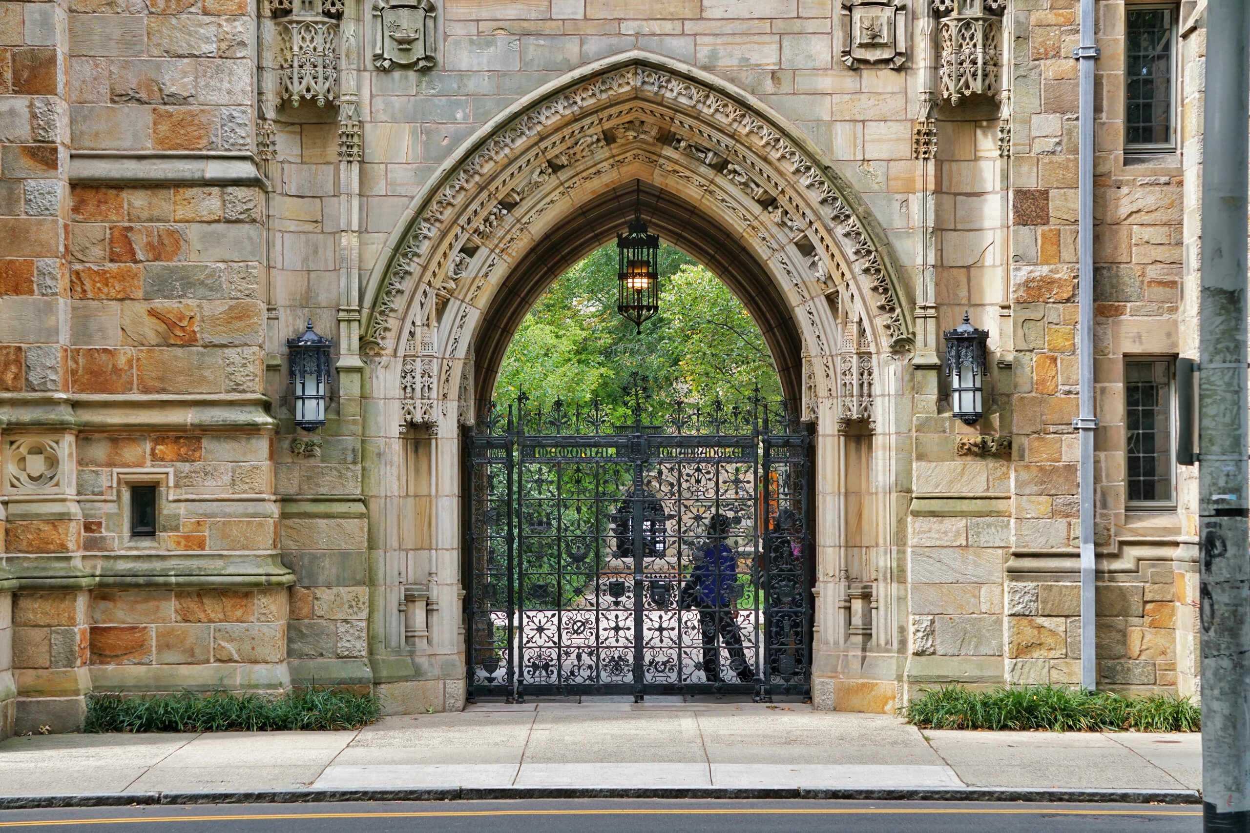 DEI or die: Yale's molecular biology hiring hinges on ideological ...